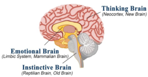 The Human Operating System – MindLife